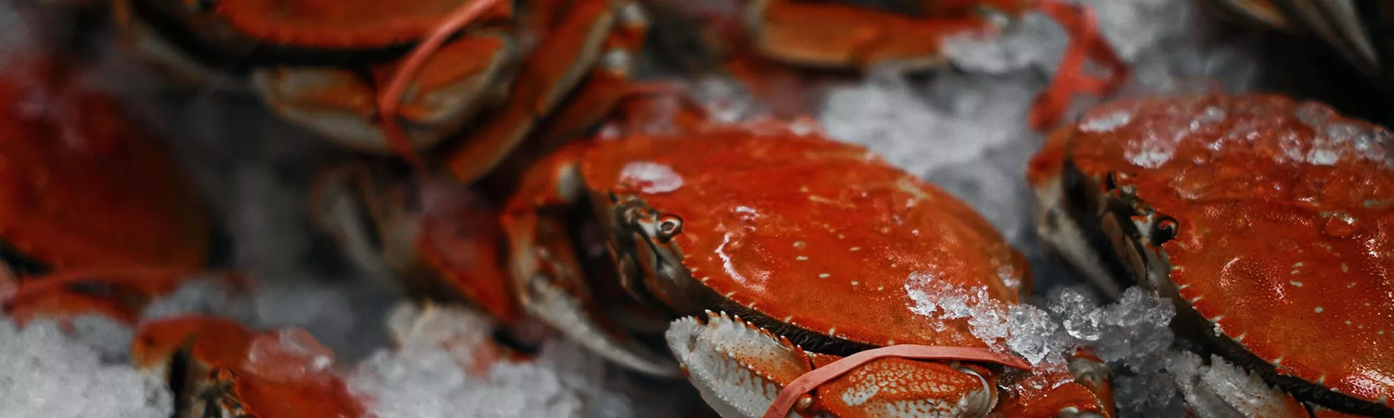 Leadership - Fulton Fish Market Cooperative